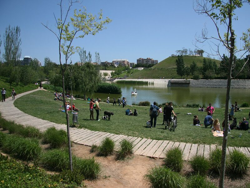 Cauce del Río Turia en bici – Rutas en bici con niños por Valencia